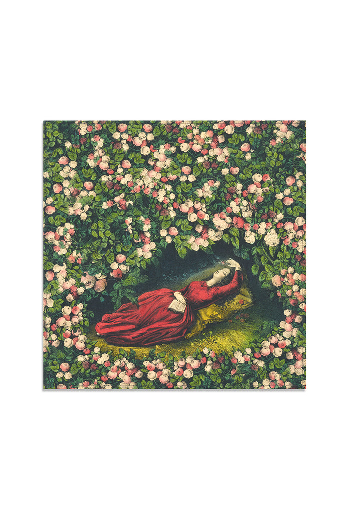 John Derian | Summerill & Bishop