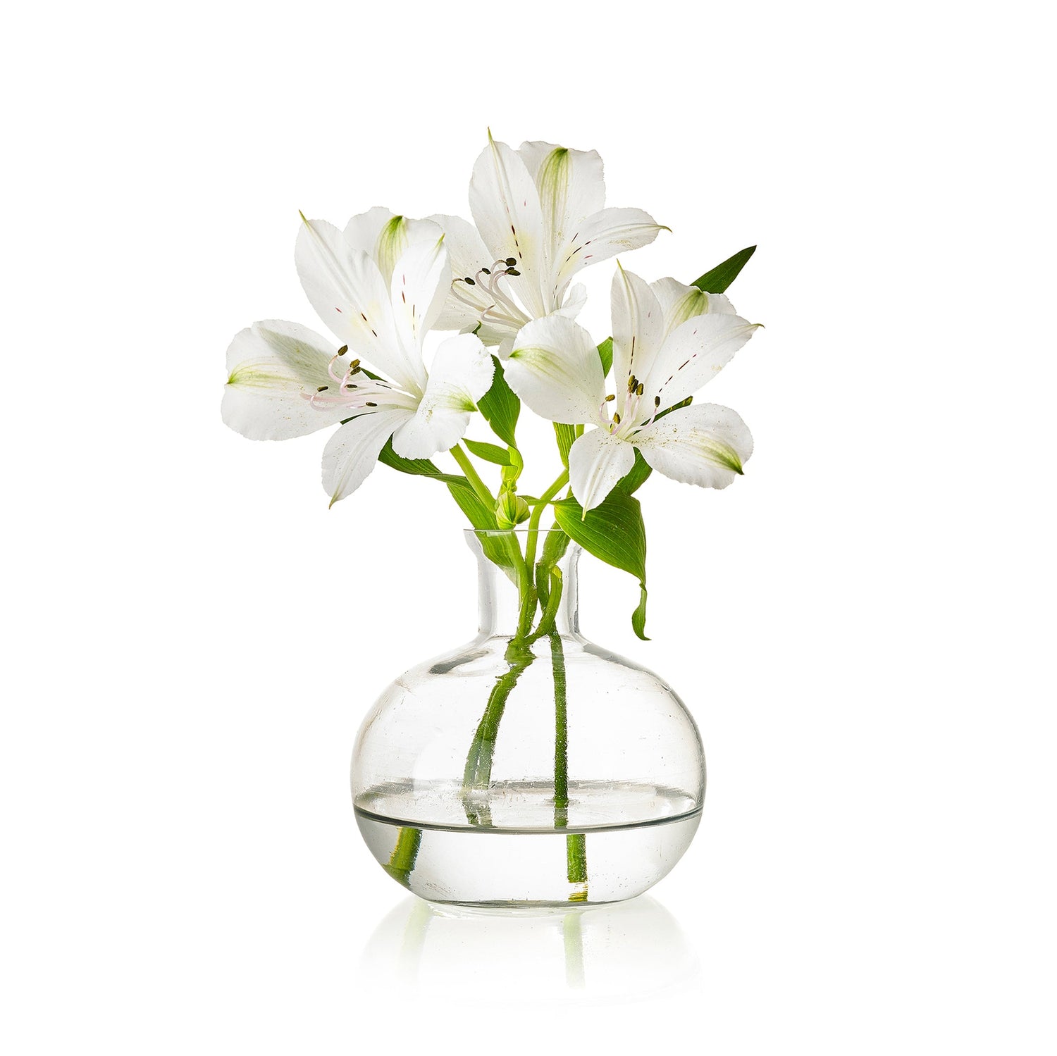 Glass Flower Vase - Janis, 9cm x 9cm – Summerill & Bishop
